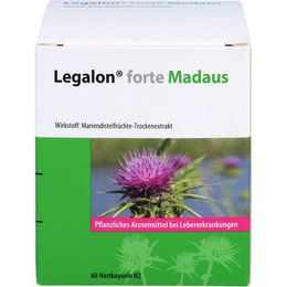 Legalon forte Madaus Hartkapseln 60 St
