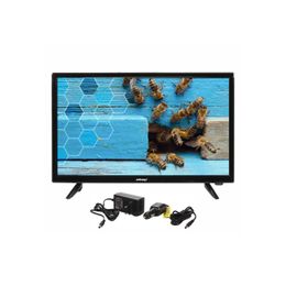 Ankaro ANK CL-2402 LCD-LED Fernseher (60 cm/24 Zoll