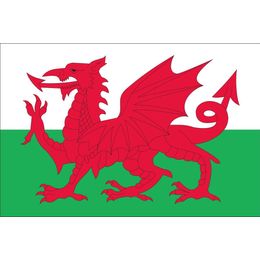 flaggenmeer Flagge Wales 80 g/m²