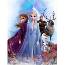 Disney Kinderdecke Frozen Anna Fleecedecke Kinder Warm Kuscheldecke Ice Sturm 130 x 170cm