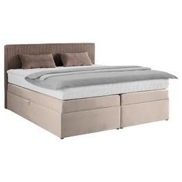 Boxspringbett Rossa in Braun ca. 180x200cm