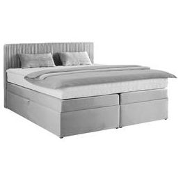 Boxspringbett Rossa in Grau ca. 180x200cm