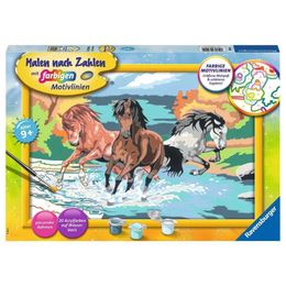 Ravensburger Malen nach Zahlen Ravensburger 28492