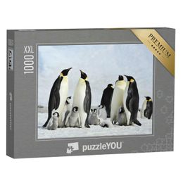 puzzleYOU Puzzle Puzzle 1000 Teile XXL „Kaiserpinguin-Kolonie mit Jungtieren