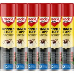 NEOCID Expert Insektenspray Spinnen-Spray Hochwirksam gegen Spinnen
