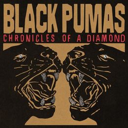 Chronicles Of A Diamond - Black Pumas. (CD)