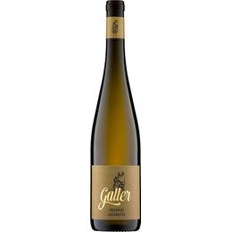 Weingut Galler FRIEDRICH - Johanniter 2020 Trocken Pfalz – Weißwein Qualitätswein