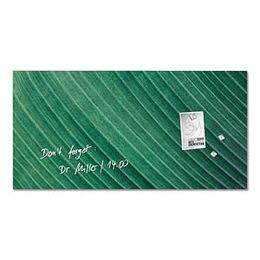 Sigel Glas-Magnettafel artverum® 91,0 x 46,0 cm Design Palm Leaf matt