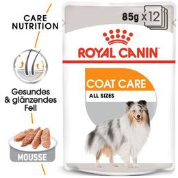 Royal Canin Coat Care Adult Mousse 12x85 g