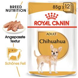 Royal Canin Chihuahua Adult Mousse 12x85 g