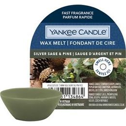 yankee candle Raumdüfte Duftwachs Silver Sage & Pine