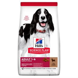 Hill's Hill's Science Plan Hund Medium Adult Lamm & Reis 14kg