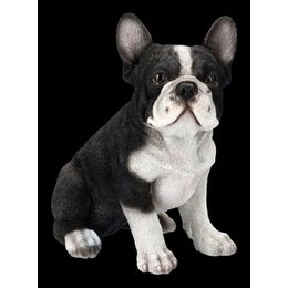 Figuren Shop GmbH Tierfigur Französischer Bulldogge Welpen Figur