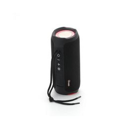 Qivee Tragbare Musikbox Soundbox Bluetooth-Lautsprecher (10 W