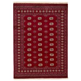 Nain Trading Orientteppich Pakistan Buchara 3ply 175x239 Handgeknüpfter Orientteppich, rechteckig, Höhe: 8 mm, rot