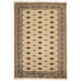 Nain Trading Orientteppich Pakistan Buchara 3ply 205x297 Handgeknüpfter Orientteppich, rechteckig, Höhe: 8 mm, beige