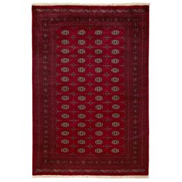 Nain Trading Orientteppich Pakistan Buchara 3ply 202x292 Handgeknüpfter Orientteppich, rechteckig, Höhe: 8 mm, rot