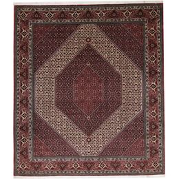 Nain Trading Orientteppich Bidjar Tekab 256x291 Handgeknüpfter Orientteppich / Perserteppich, rechteckig, Höhe: 15 mm, braun|rot