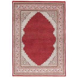 Nain Trading Orientteppich Indo Sarough 169x240 Handgeknüpfter Orientteppich, rechteckig, Höhe: 15 mm, beige|rot