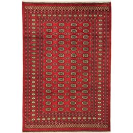 Nain Trading Orientteppich Pakistan Buchara 3ply 207x308 Handgeknüpfter Orientteppich, rechteckig, Höhe: 8 mm, rot