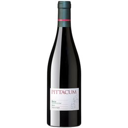 Pittacum 2019 Pittacum Bierzo DO trocken