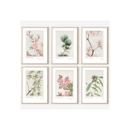 homestyle-accessoires Poster Bilder Wandbilder Kunstdrucke VINTAGE FLOWERS Prints 6er Set