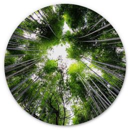 K&L WALL ART Alu-Dibond-Poster Rund Metalloptik Wandbild Wald Baum des Lebens Natur Japan Hugonnard ø 30cm - grün