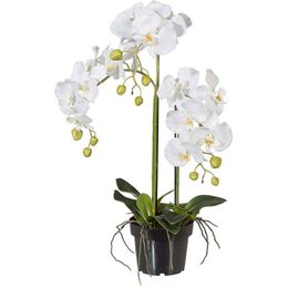 Kunstpflanze Orchidee, Creativ green, Höhe 62 cm, weiß
