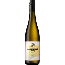 Weingut Weinreuter Weinreuter 2021 Zukunftswein Sauvignac feinherb