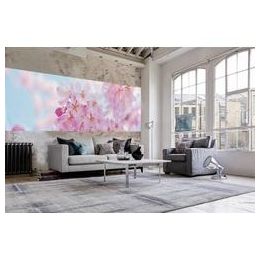 papermoon Vlies- Fototapete Digitaldruck 350 x 100 cm Cherry Blossom