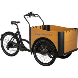 Zündapp Zündapp E-Bike Cargo C2426, 7 Gang Shimano, Kettenschaltung, Heckmotor, 576 Wh Akku, schwarz