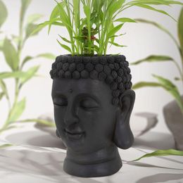 ML-Design - Pflanztopf Buddha Kopf, 19x20x34 cm, Anthrazit, aus Harz, Innen- und Außenstatue, massiv, Groß Büste Skulptur, Pflanzgefäß Blumentopf