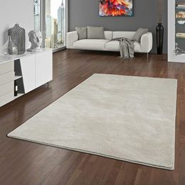 Snapstyle - Hochflor Luxus Velours Teppich Touch Champagner - 80x320 cm