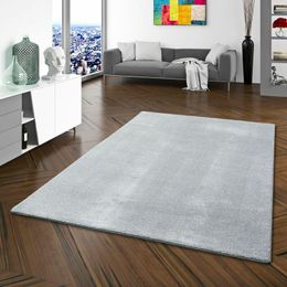 Snapstyle - Hochflor Luxus Velours Teppich Touch Grau - 100x100 cm