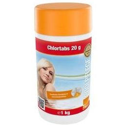 Steinbach Poolpflege Chlortabs 1 kg, 50x 20g Tabletten, Chlorprodukt