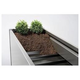 BioHort Pflanzbeet Belvedere Midi 150 152 x 53 x 61 cm silber