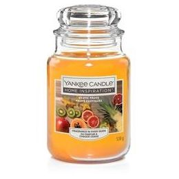 yankee candle Duftkerze Großes Glas Exotic Fruits 538 g, oran ge