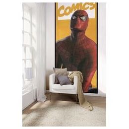 Komar Vlies Fototapete Spider-Man Comic 100 x 250 cm