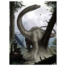 Komar Vlies Fototapete Rebbachisaurus 184 x 248 cm