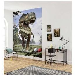 Komar Vlies Fototapete Tyrannosaurus Rex 184 x 248 cm