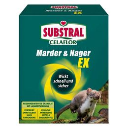 SUBSTRAL Insektenvernichtungsmittel SUBSTRAL Celaflor Marder & Nager Ex 300 g