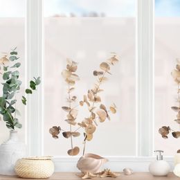 Fensterfolie Goldene Eukalyptuszweige