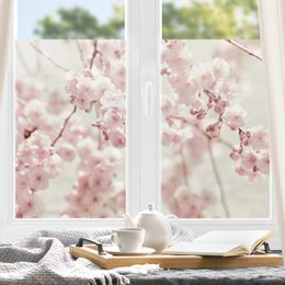 Fensterfolie Kirschblütentanz
