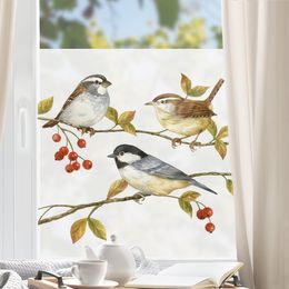 Fensterfolie Vögel und Beeren - Meisen
