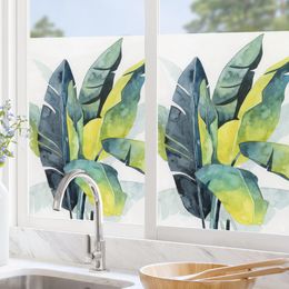 Fensterfolie Tropisches Blattwerk - Banane