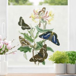 Fensterfolie Britische Schmetterlinge IV