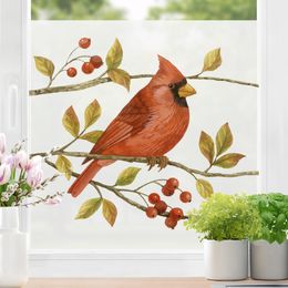 Fensterfolie Vögel und Beeren - Rotkardinal