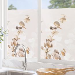 Fensterfolie Goldene Eukalyptuszweige mit Weiß I