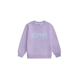 Esprit Sweatshirt Logo-Sweatshirt mit Rundhalsausschnitt (1-tlg)