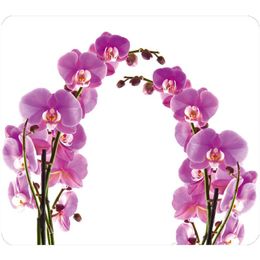 Wenko Maximex Multi-Platte Orchideenblüte, Schneidbrett, Wandblende, Mehrfarbig, Gehärtetes Glas mehrfarbig , Silikon transparent - mehrfarbig